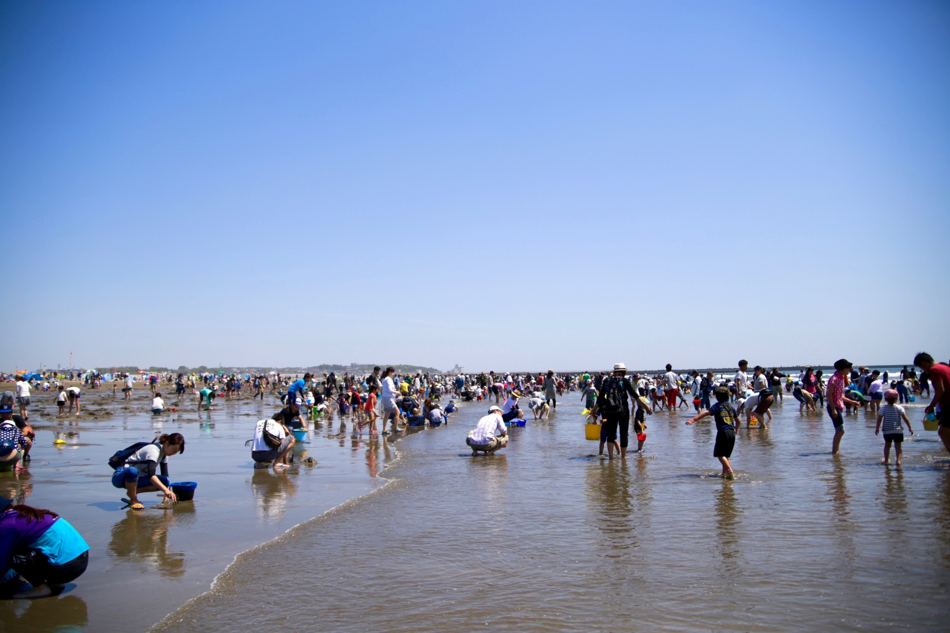 潮干狩りのシーズンや人気スポットについて│旅と観光の手帳
